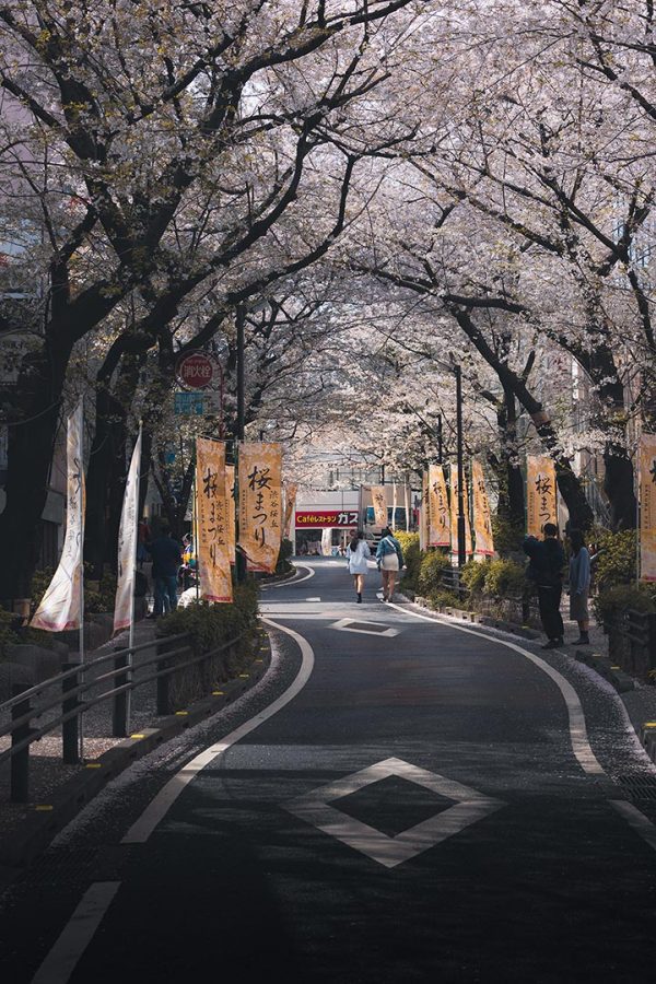 Shibuya Photography Guide to the best photo spots and locations